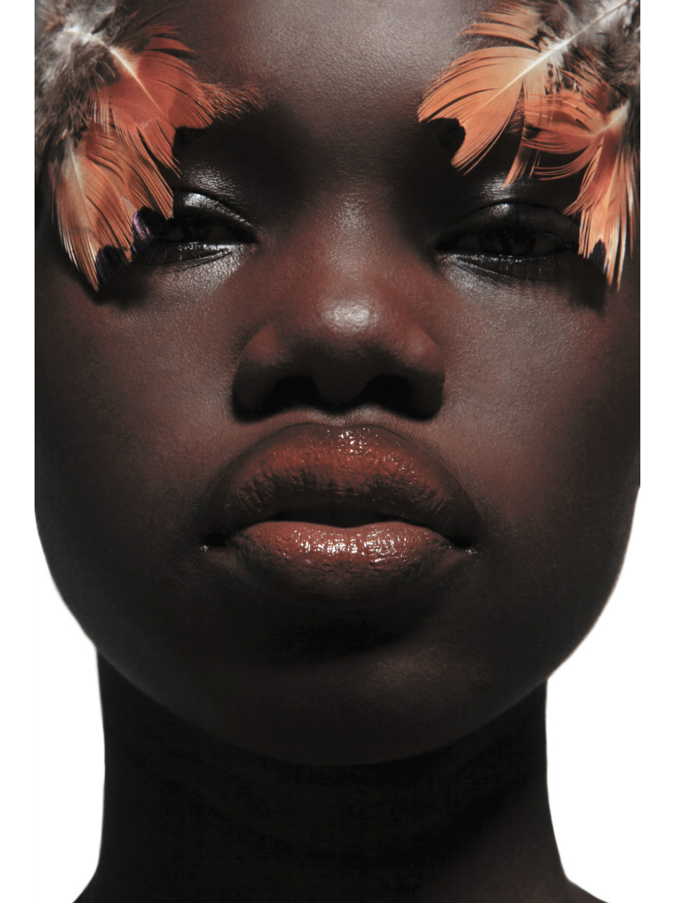 MAJDA JOHN PETER | The Society