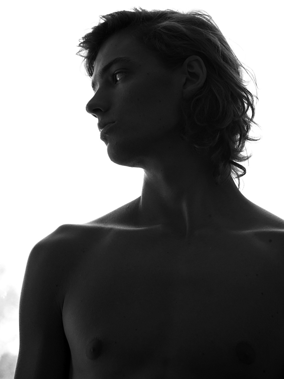 THEO FORD | The Society