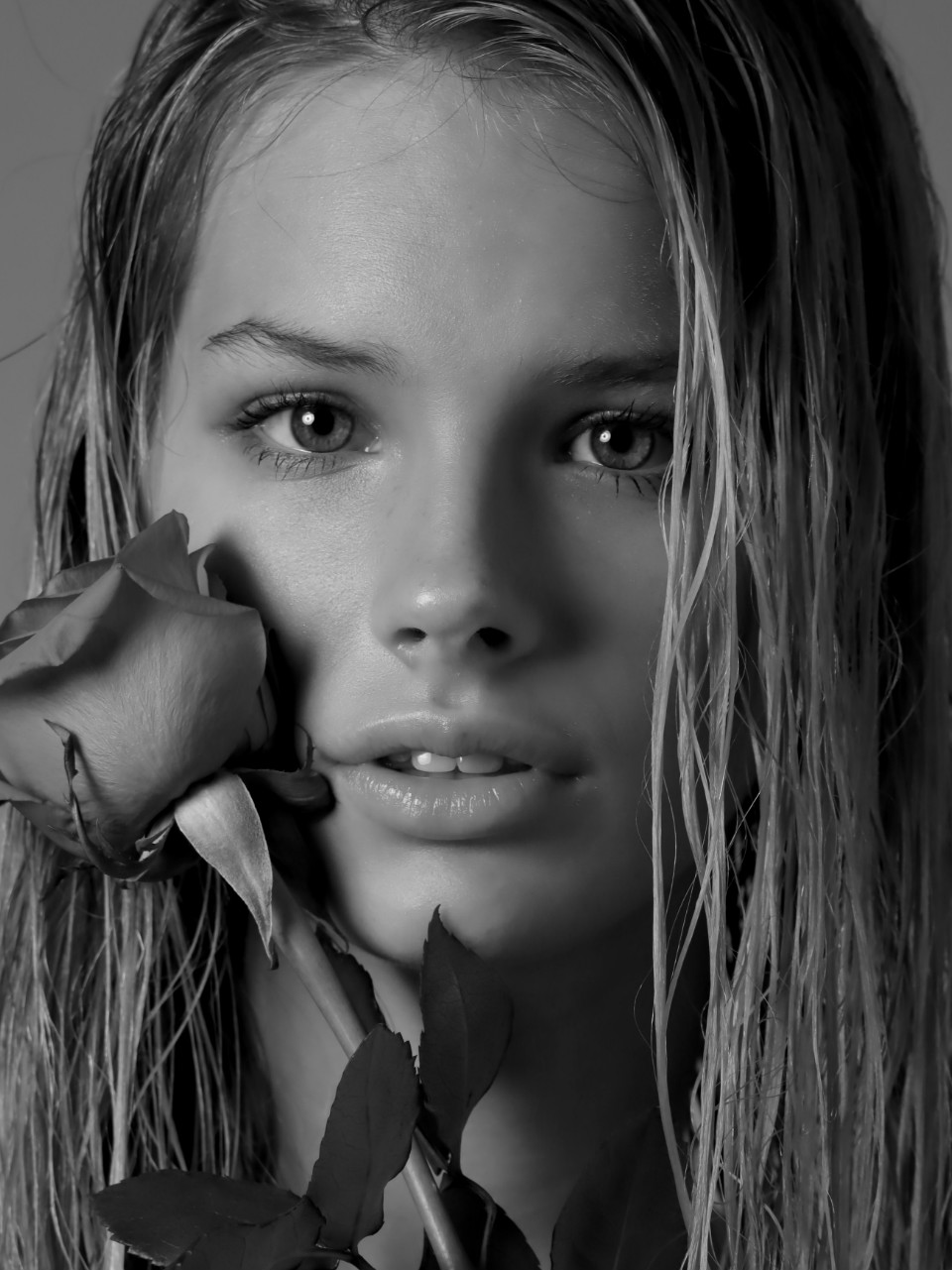 Mari Lederman | The Society