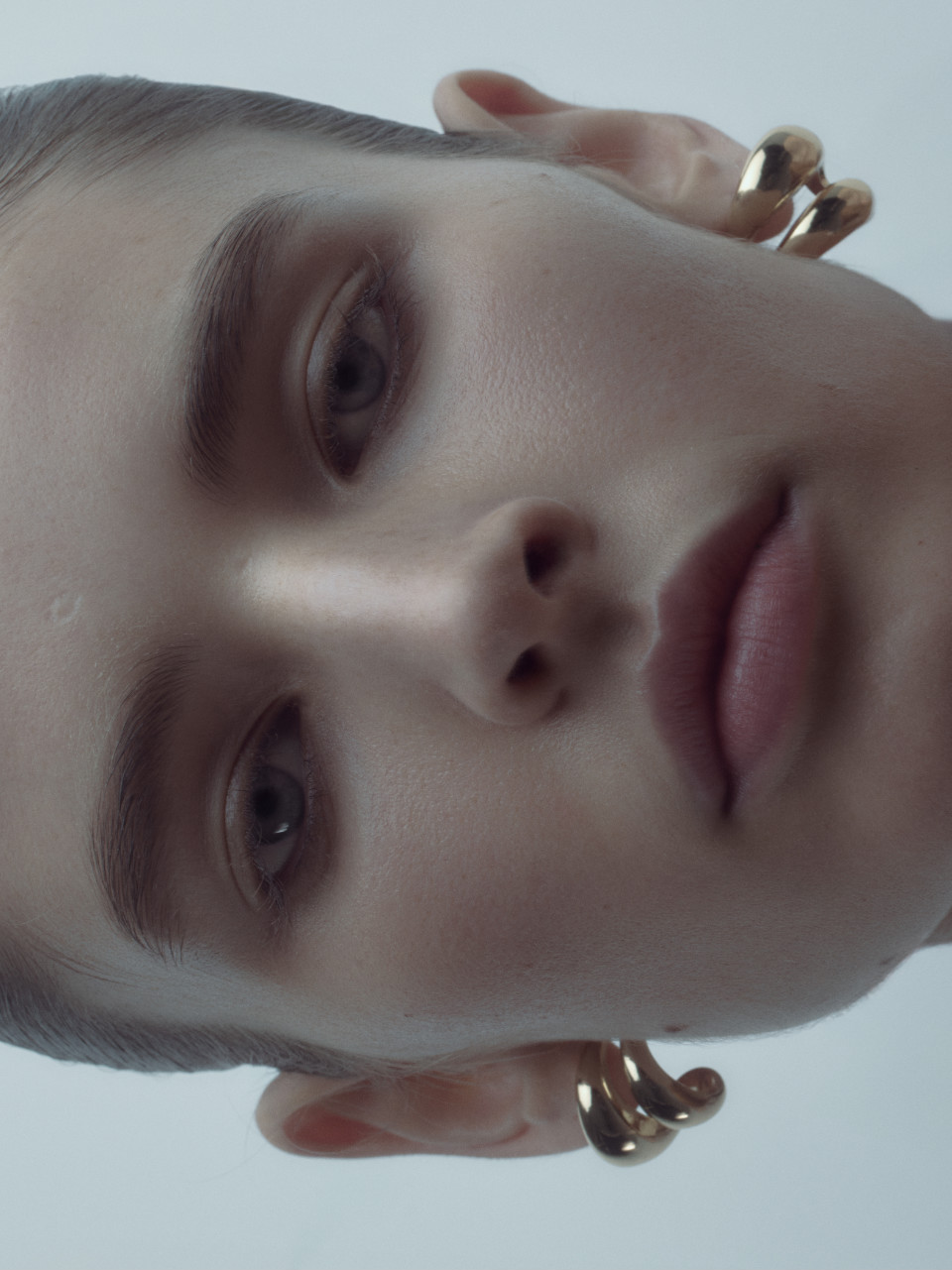 Libby Taverner | The Society